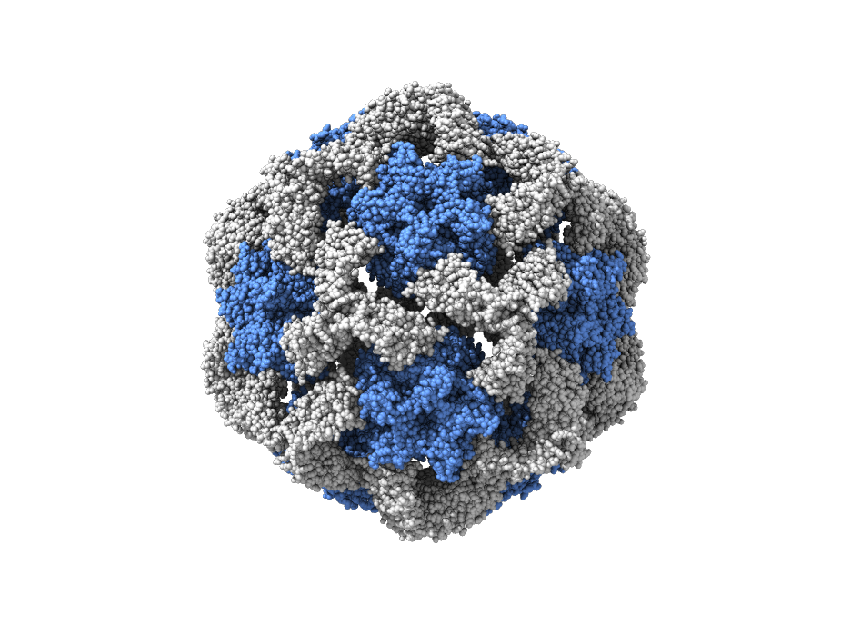 AndreLab — Protein sequence, structure & assembly